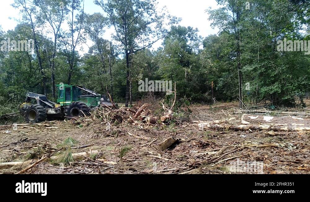 Skidder Pulling Logs 3 Stock Video Footage - Alamy