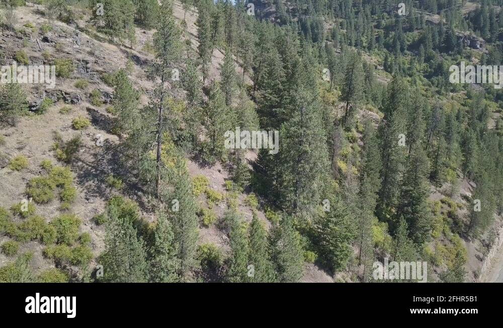 Sporadic Stock Videos & Footage - HD and 4K Video Clips - Alamy