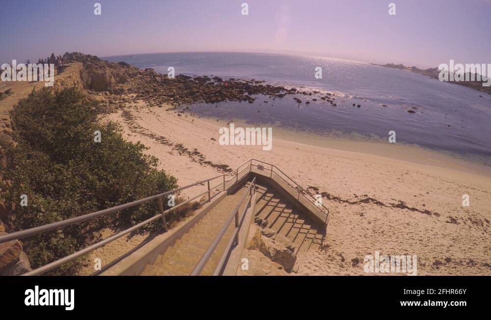 Pacific grove Stock Videos & Footage - HD and 4K Video Clips - Alamy