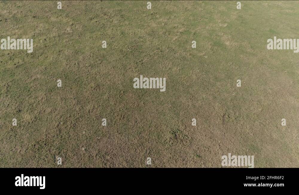 Parched grass drought Stock Videos & Footage - HD and 4K Video Clips ...