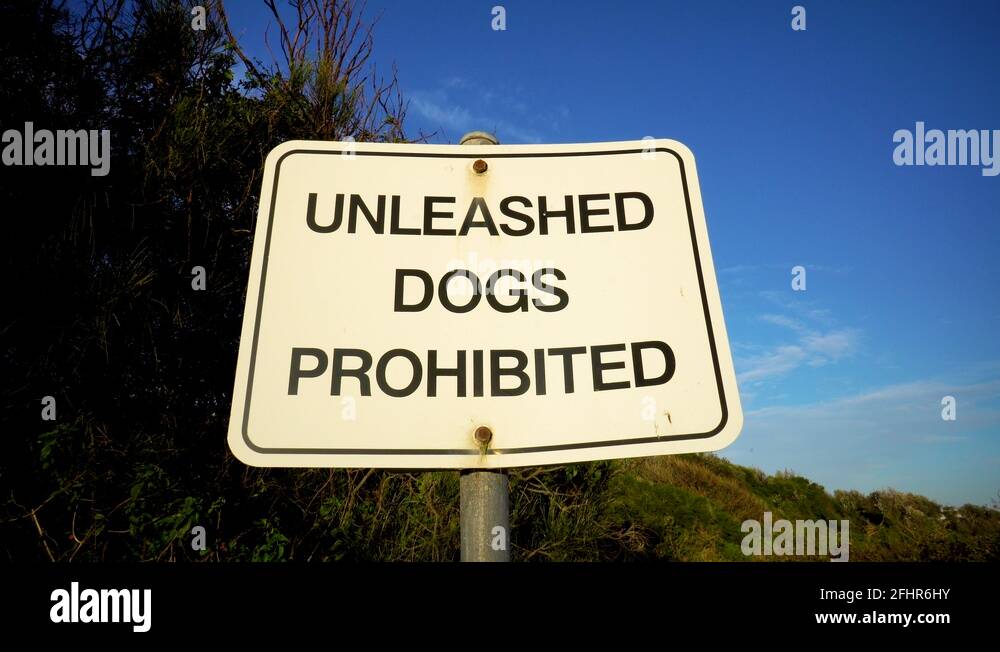 Dogs prohibited signage Stock Videos & Footage - HD and 4K Video Clips ...