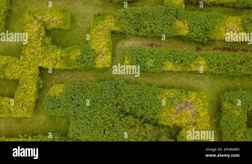 Green maze Stock Videos & Footage - HD and 4K Video Clips - Alamy