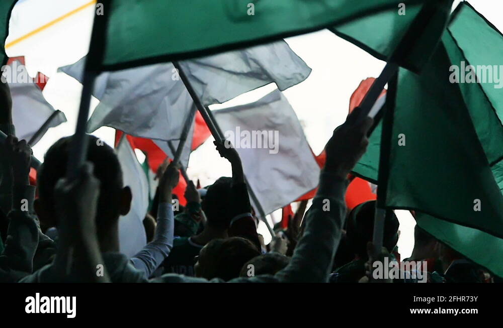 Fan spectator view Stock Videos & Footage - HD and 4K Video Clips - Alamy