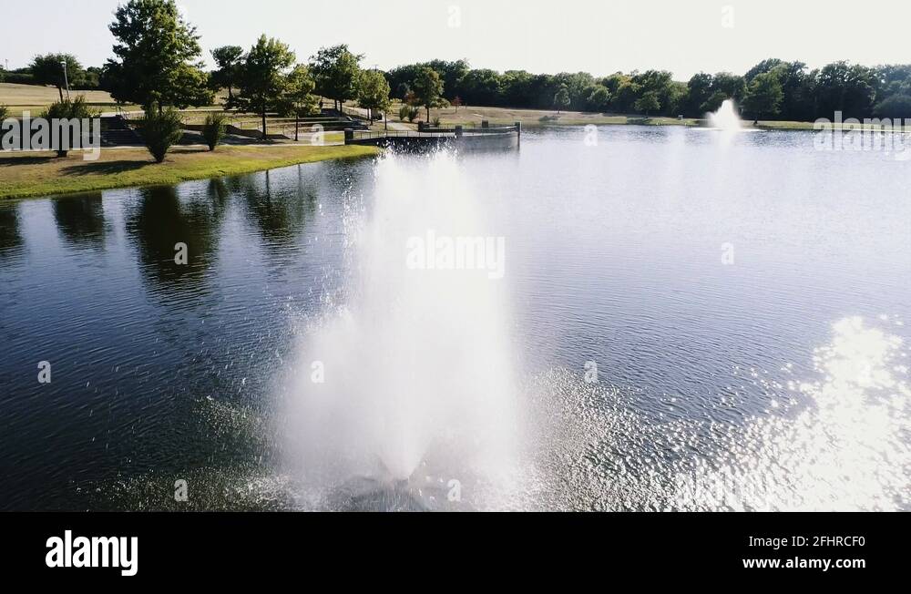 Park pond rabbit Stock Videos & Footage - HD and 4K Video Clips - Alamy