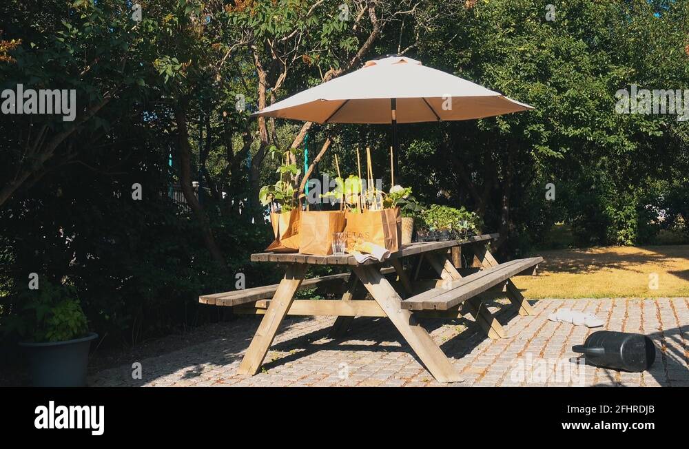 bench with freshly bought plants on it and a parasol in the wind Stock ...