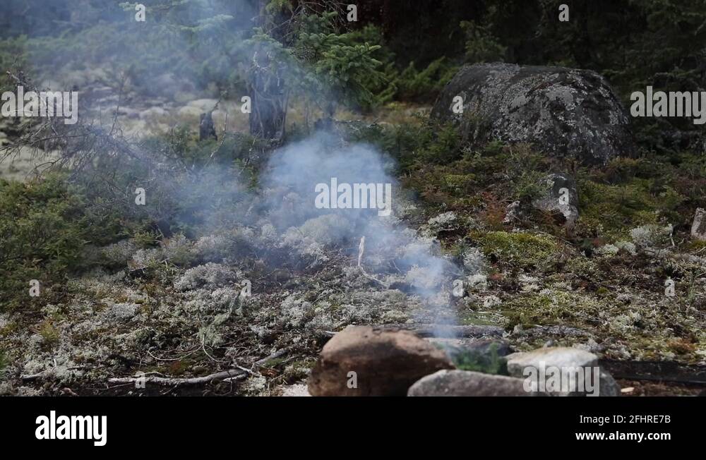 Smoke from campfire Stock Videos & Footage - HD and 4K Video Clips - Alamy