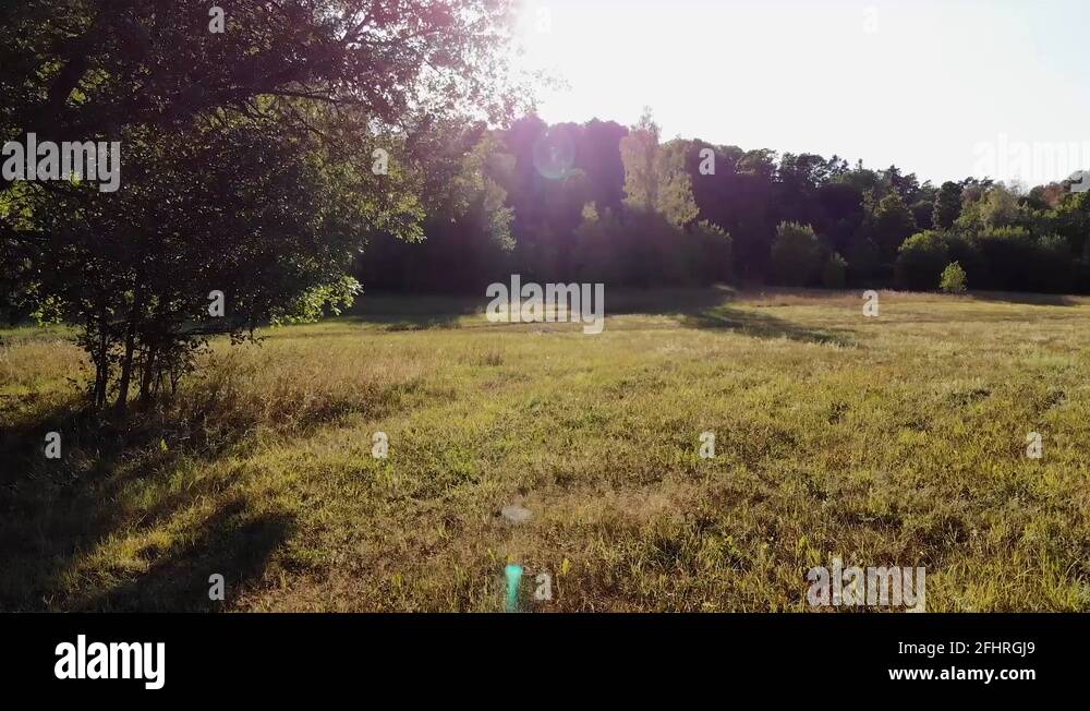 Sunny day out in nature Stock Videos & Footage - HD and 4K Video Clips ...