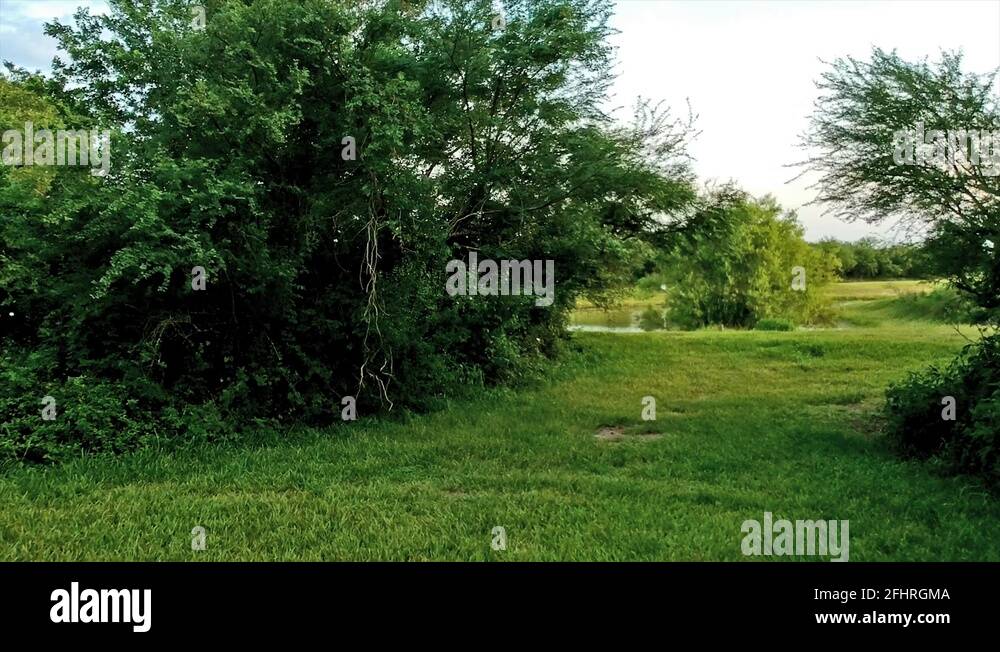 Back might shot Stock Videos & Footage - HD and 4K Video Clips - Alamy