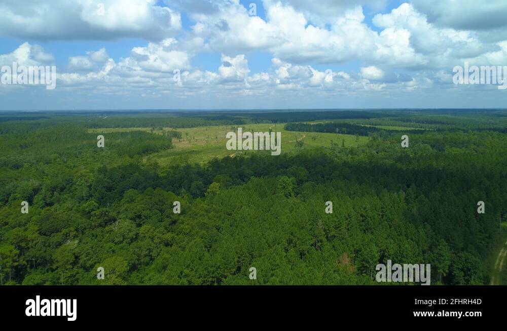 Alabama usa landscape Stock Videos & Footage - HD and 4K Video Clips ...