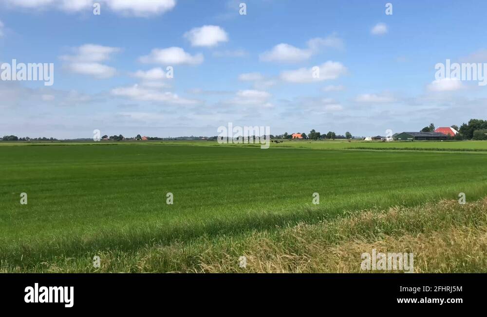 Netherlands farming Stock Videos & Footage - HD and 4K Video Clips - Alamy