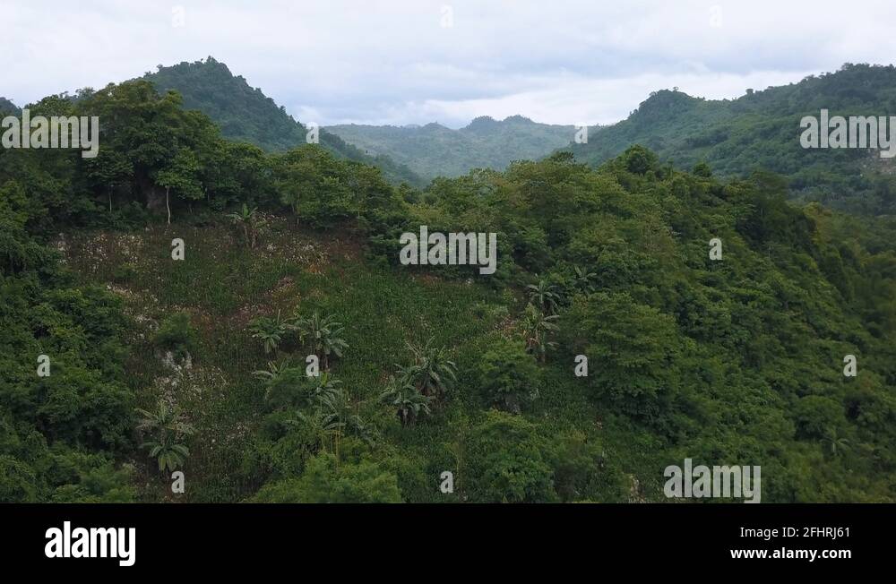 Cagayan valley Stock Videos & Footage - HD and 4K Video Clips - Alamy