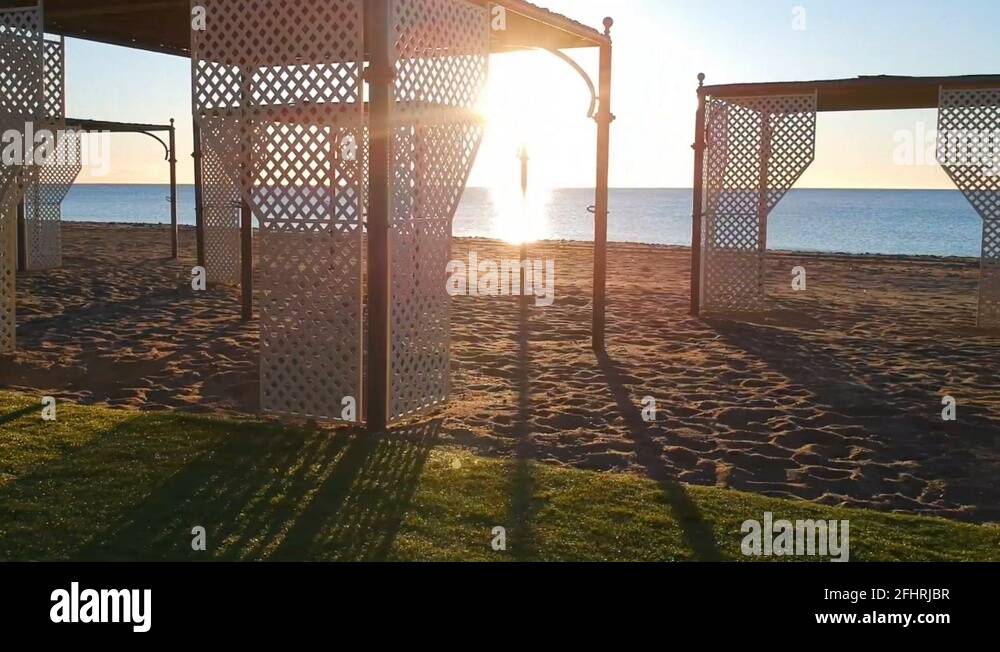 Sunbathing under palm trees Stock Videos & Footage - HD and 4K Video ...