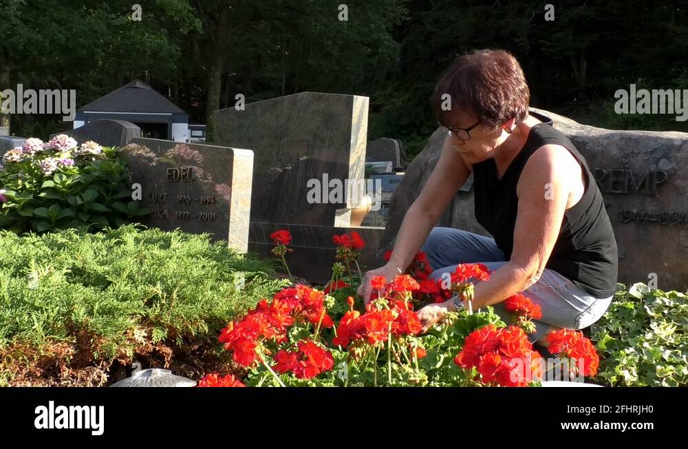 Grave tomb graves tombs Stock Videos & Footage - HD and 4K Video Clips ...