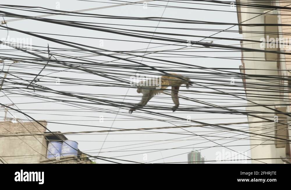 Banana cable Stock Videos & Footage - HD and 4K Video Clips - Alamy