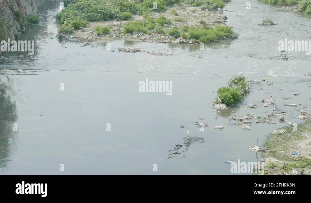 Water pollution of Bagmati River in Kathmandu, Nepal Stock Video ...
