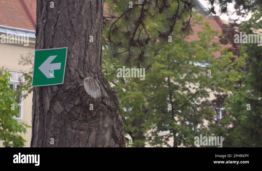 Arrow on the tree Stock Videos & Footage - HD and 4K Video Clips - Alamy