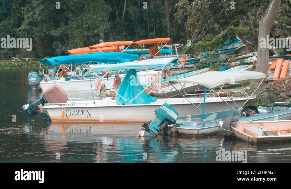 Gamboa panama Stock Videos & Footage - HD and 4K Video Clips - Alamy