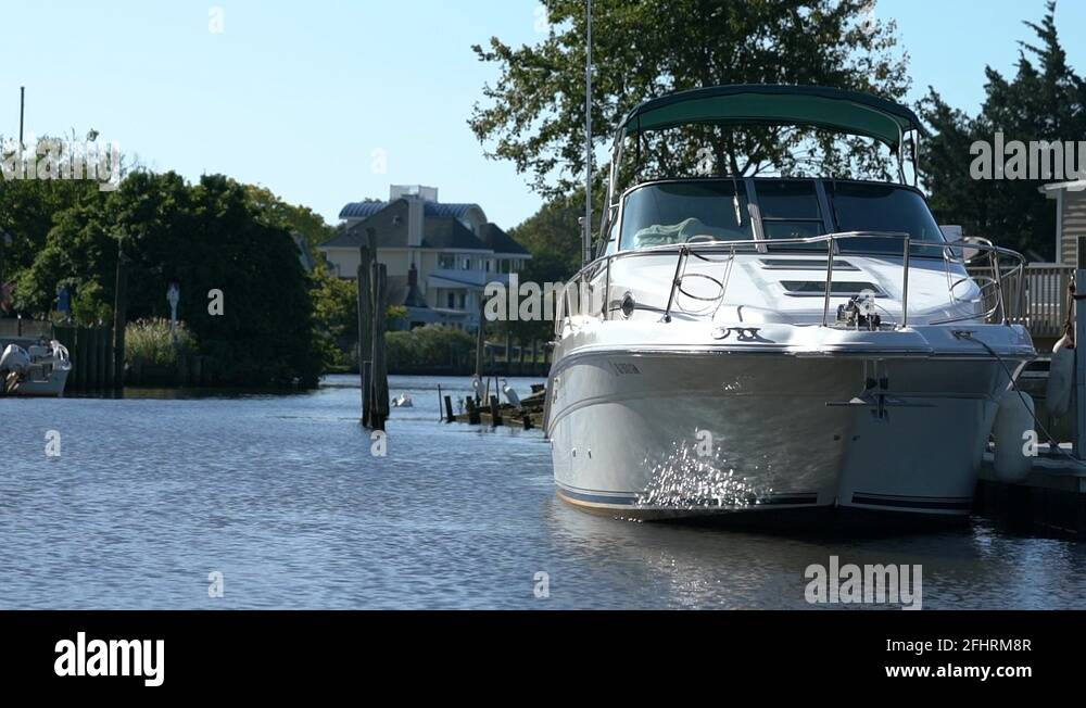 Boat tied to a tree Stock Videos & Footage - HD and 4K Video Clips - Alamy