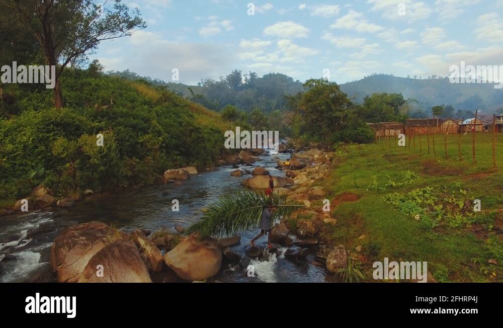 Man carrying palm tree leaf Stock Videos & Footage - HD and 4K Video ...