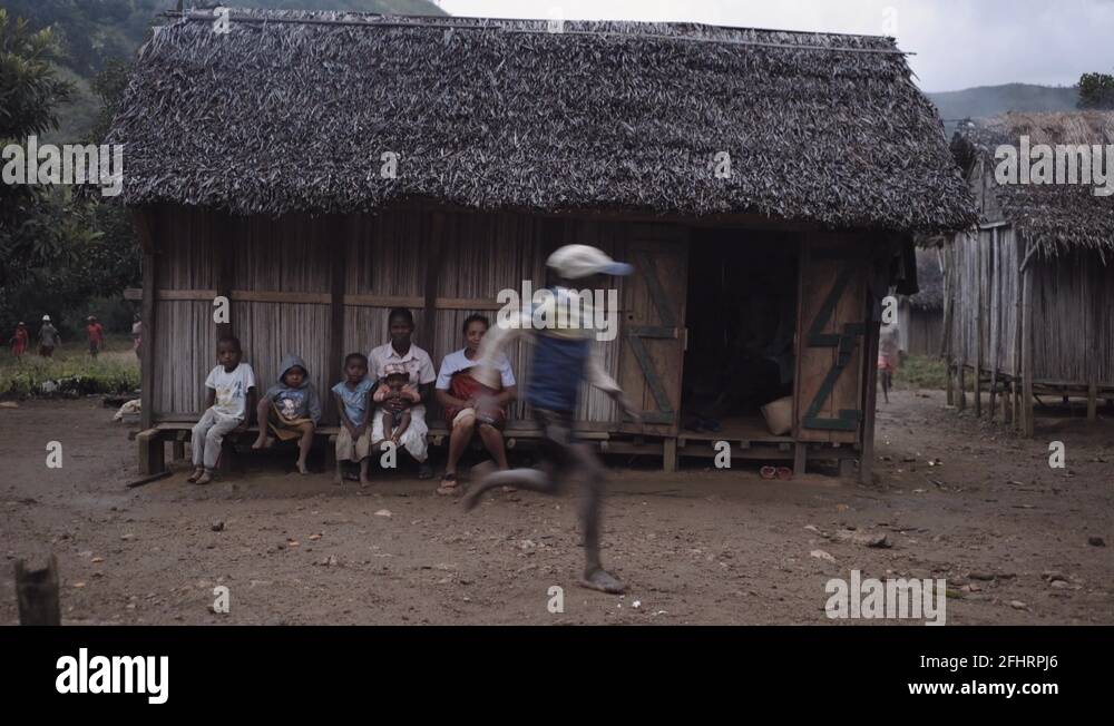 African stilt Stock Videos & Footage - HD and 4K Video Clips - Alamy