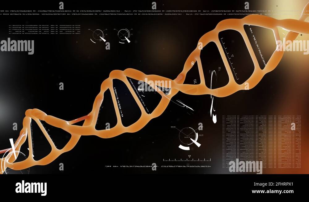 Genetics family tree Stock Videos & Footage - HD and 4K Video Clips - Alamy