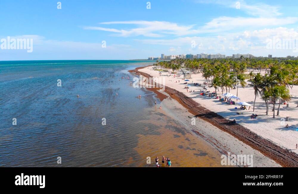 Summer city beach Stock Videos & Footage - HD and 4K Video Clips - Alamy