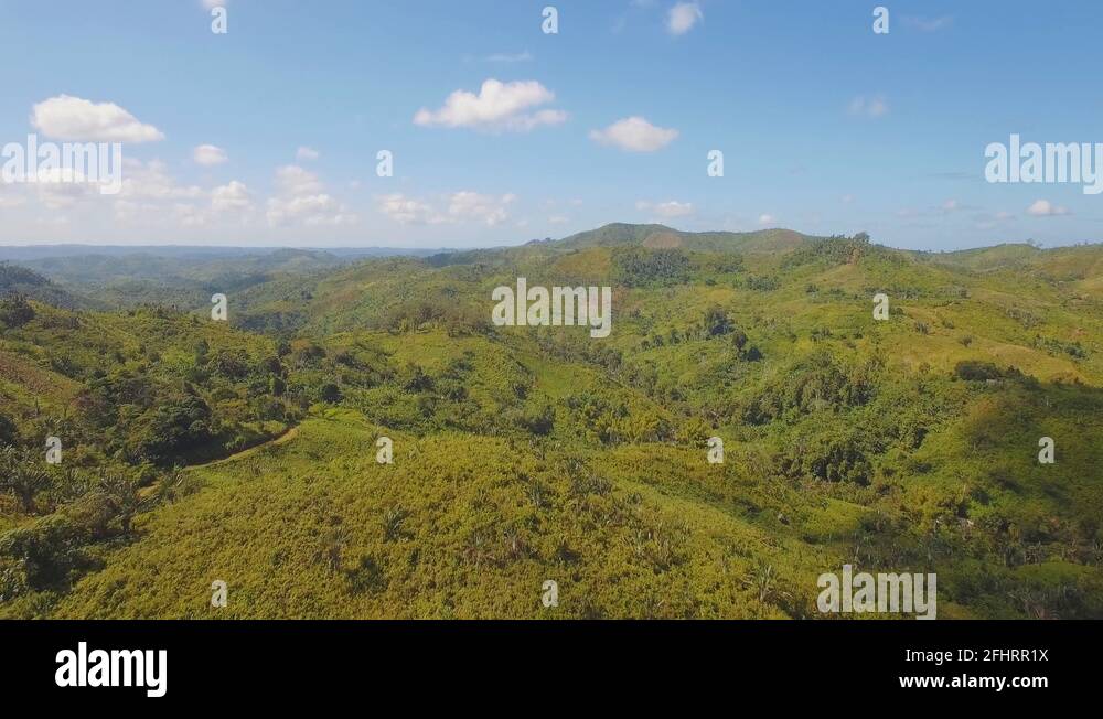 Madagascar rainforest landscape Stock Videos & Footage - HD and 4K ...