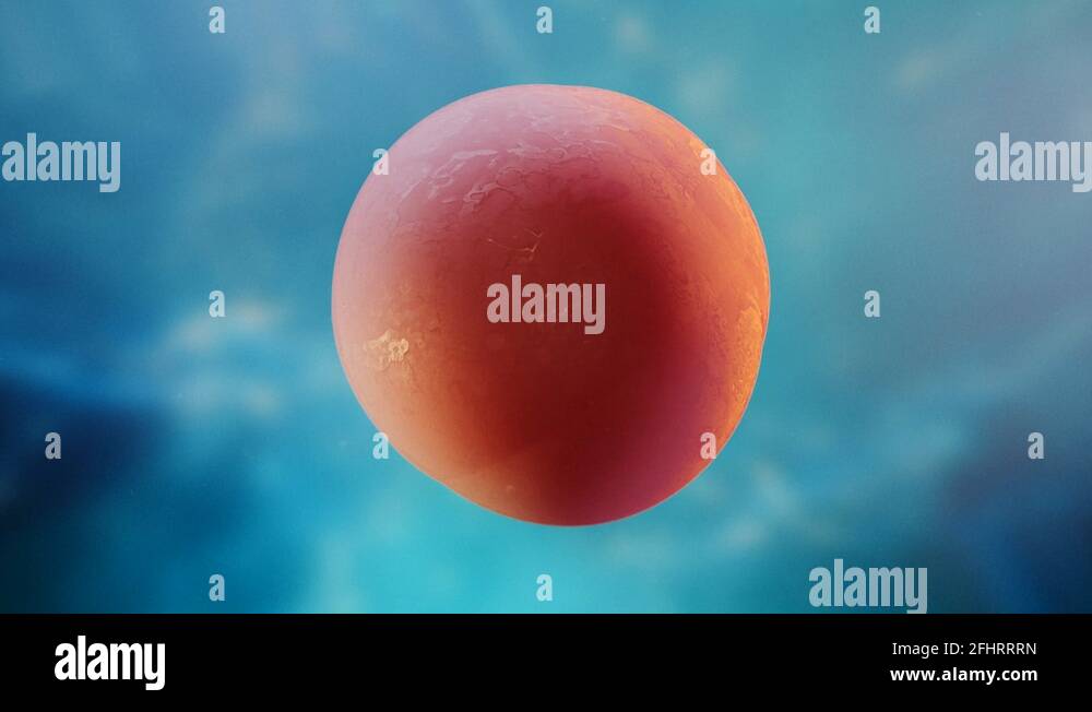 Single cell division reproduction Stock Videos & Footage - HD and 4K ...