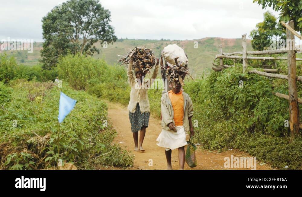 African woman carrying firewood Stock Videos & Footage - HD and 4K ...