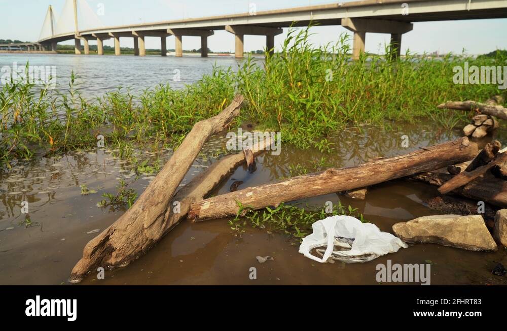 Plastic bag river Stock Videos & Footage - HD and 4K Video Clips - Alamy