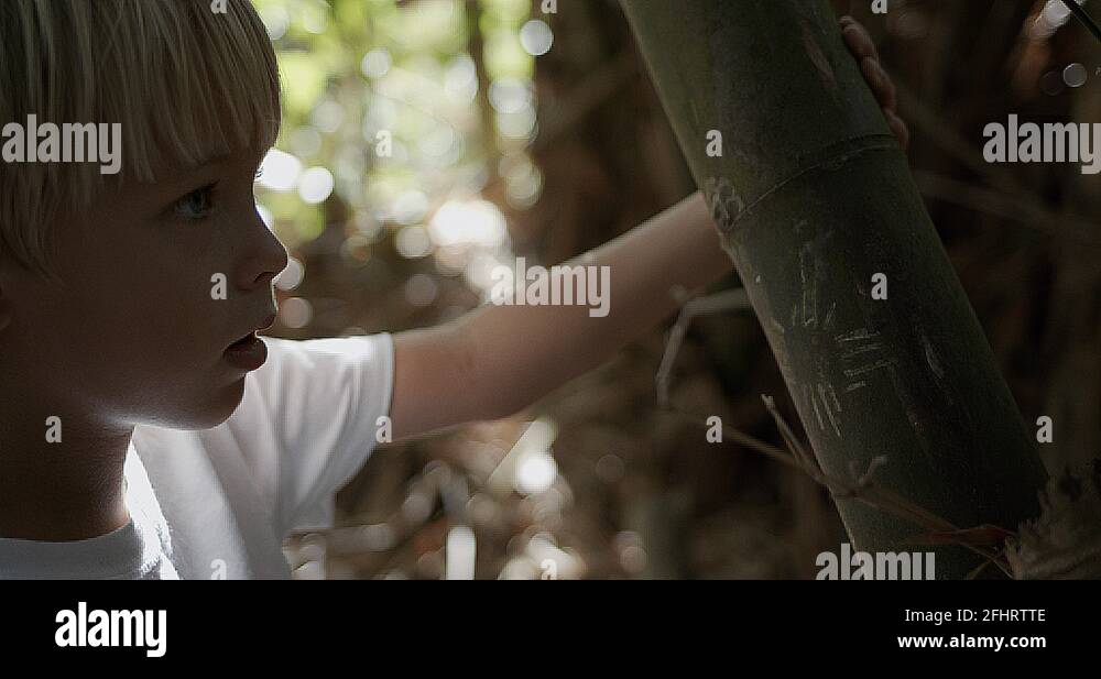 Bamboo with writing Stock Videos & Footage - HD and 4K Video Clips - Alamy