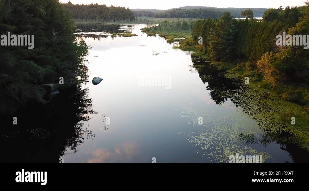 Lake ecosystem Stock Videos & Footage - HD and 4K Video Clips - Alamy