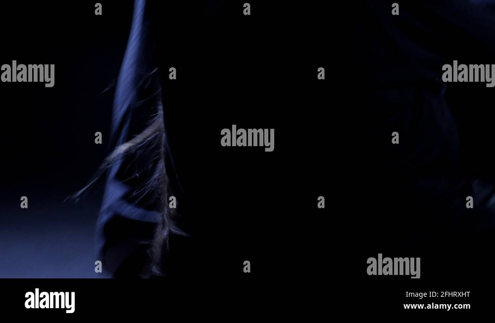 Chilling wound Stock Videos & Footage - HD and 4K Video Clips - Alamy