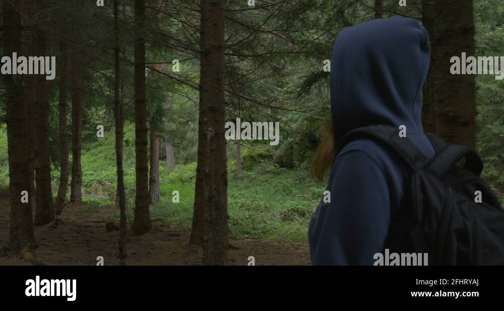 Trekking into the forest Stock Videos & Footage - HD and 4K Video Clips ...