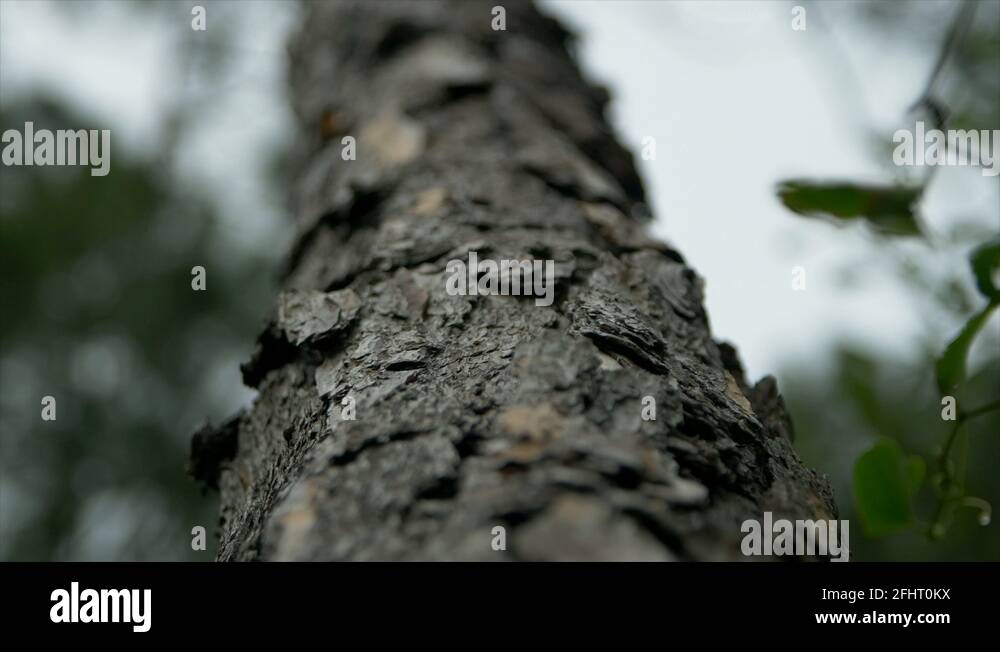 Good effect Stock Videos & Footage - HD and 4K Video Clips - Alamy