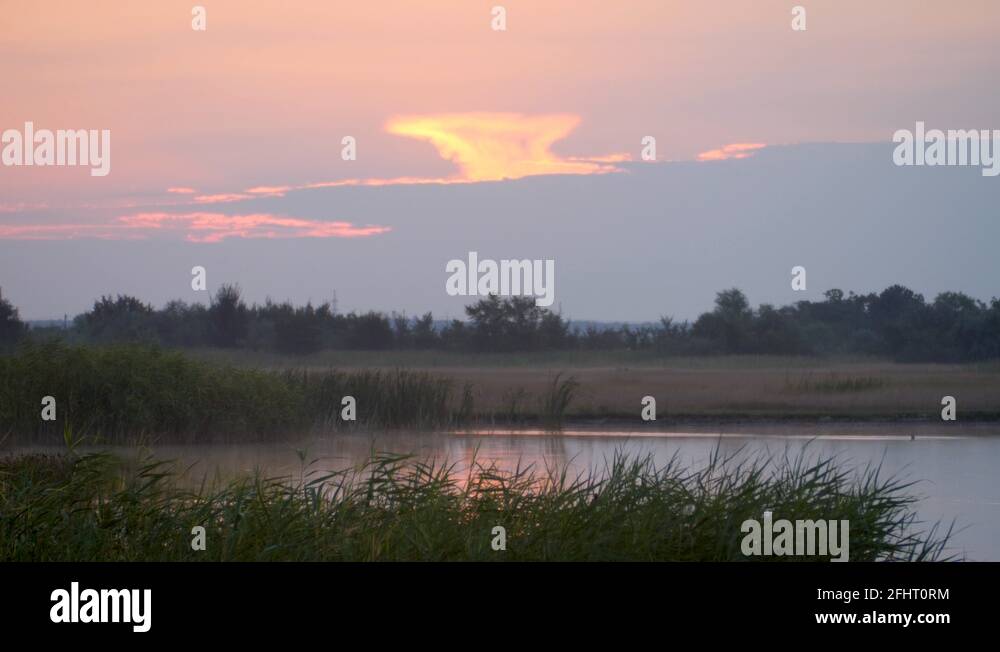 Alfold Stock Videos & Footage - HD and 4K Video Clips - Alamy