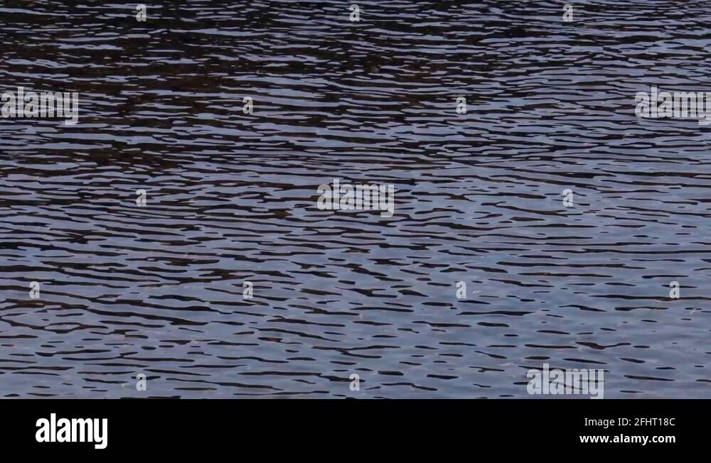 Flowing river water Stock Videos & Footage - HD and 4K Video Clips - Alamy