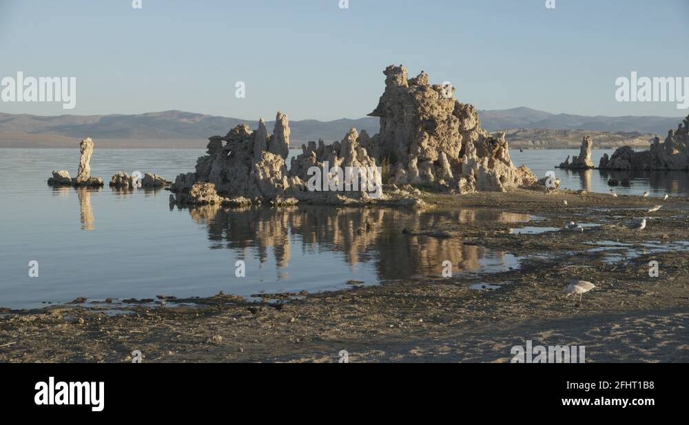 Alkaline rocks Stock Videos & Footage - HD and 4K Video Clips - Alamy