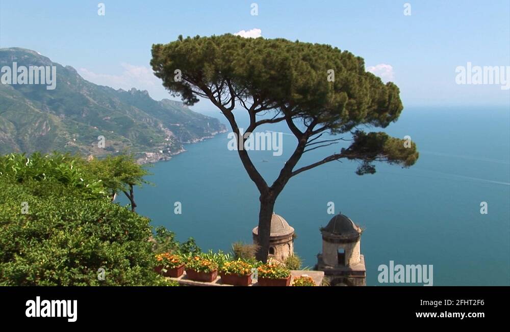 The ravello tree Stock Videos & Footage - HD and 4K Video Clips - Alamy