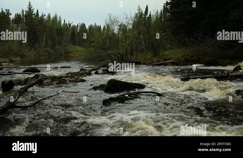 Canadian wilderness park Stock Videos & Footage - HD and 4K Video Clips ...