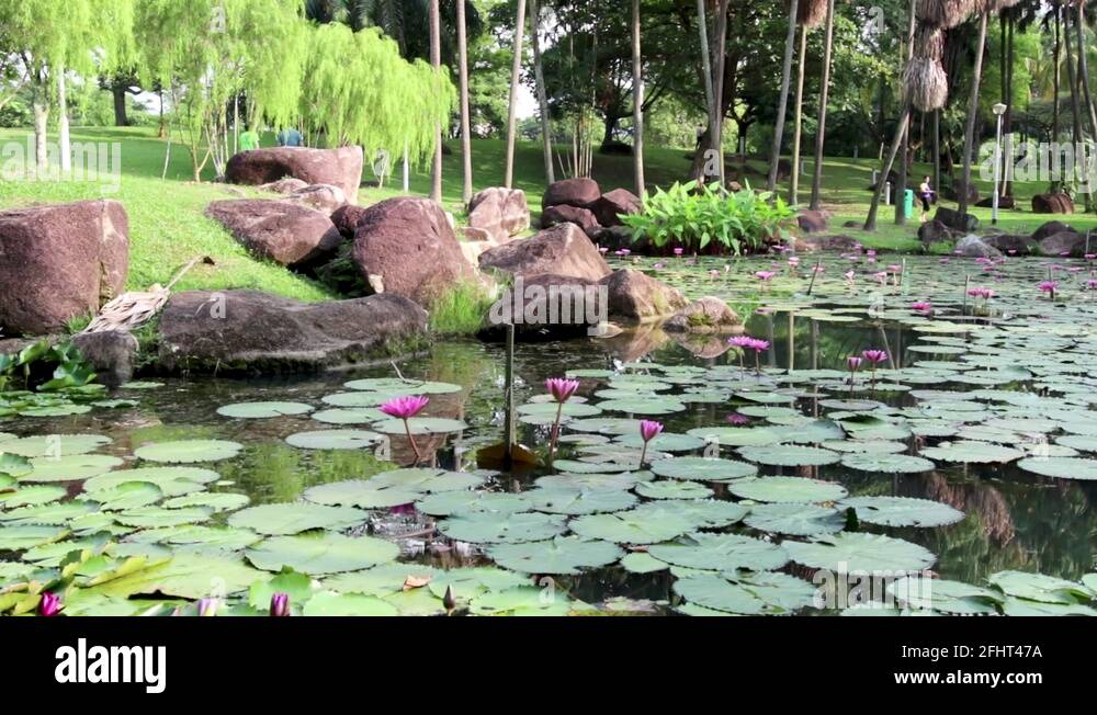 Amazing water feature Stock Videos & Footage - HD and 4K Video Clips ...