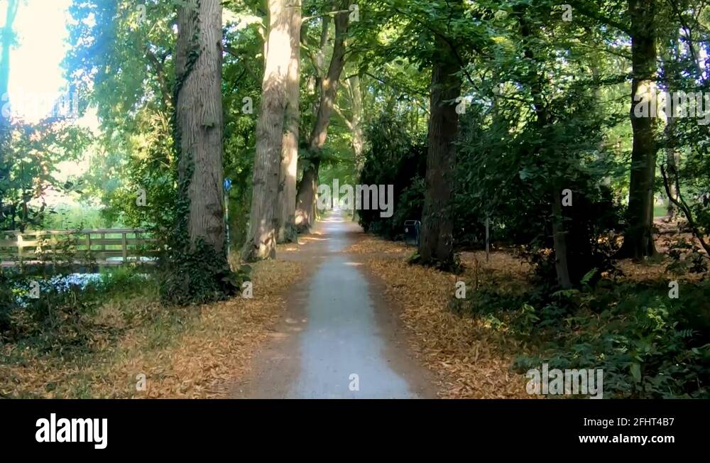 Enclosed by trees Stock Videos & Footage - HD and 4K Video Clips - Alamy