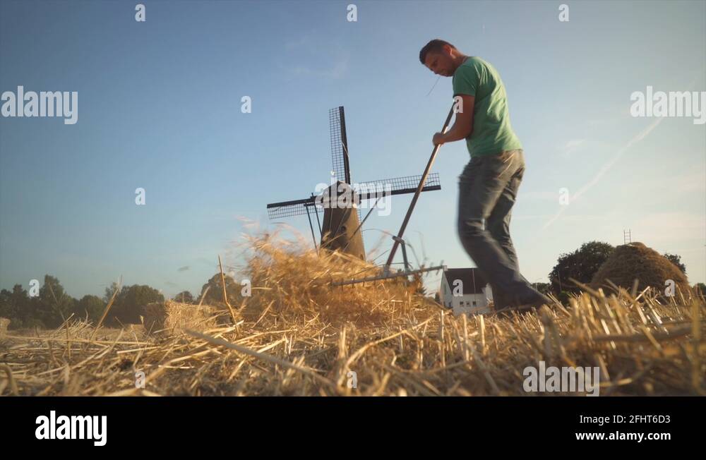 An old fashioned hay rake Stock Videos & Footage - HD and 4K Video ... An old fashioned hay rake Stock Videos & Footage - HD and 4K Video ...