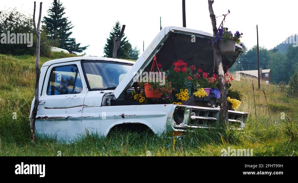 Flower truck Stock Videos & Footage - HD and 4K Video Clips - Alamy