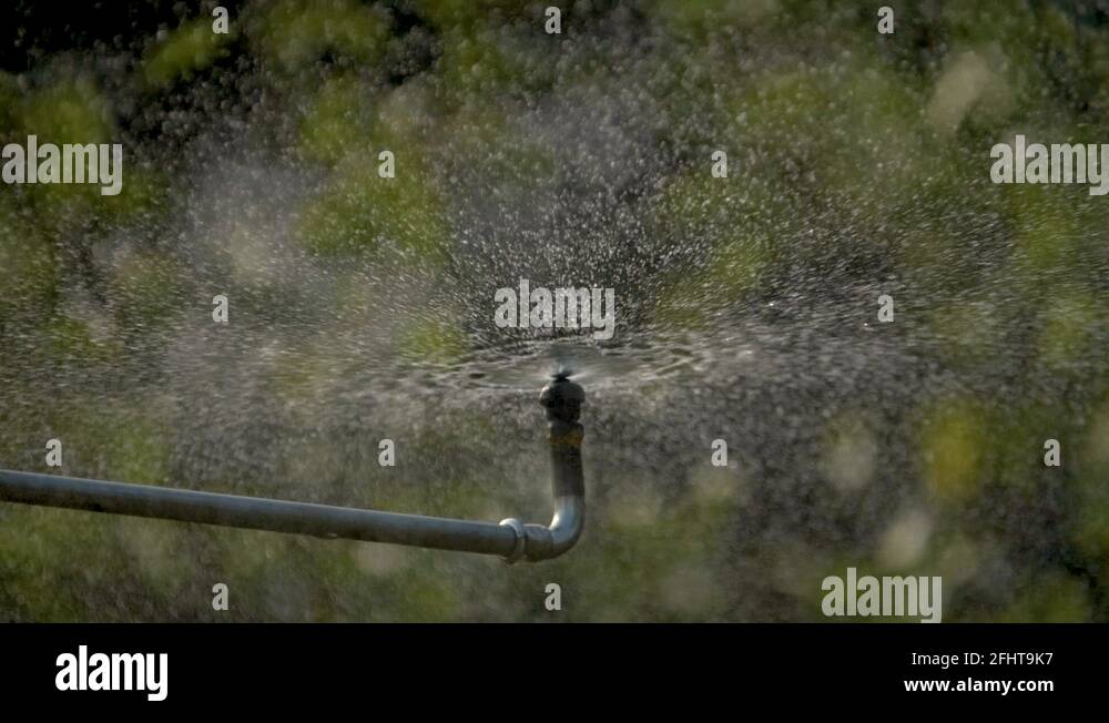 Water mist sprinkler Stock Videos & Footage - HD and 4K Video Clips - Alamy