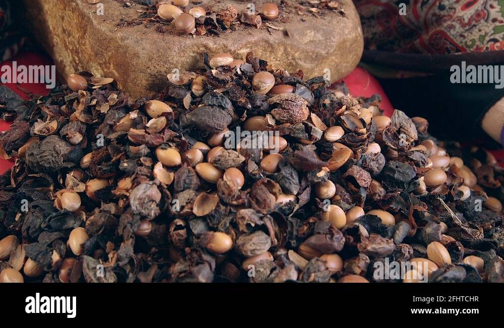 Cracking seeds Stock Videos & Footage - HD and 4K Video Clips - Alamy