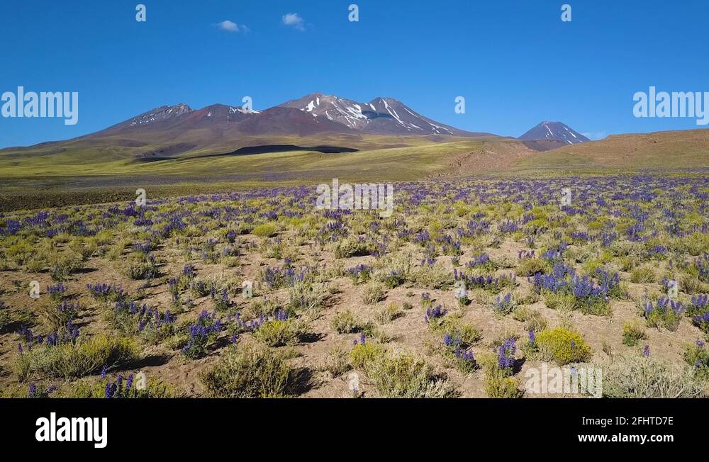 Sico pass Stock Videos & Footage - HD and 4K Video Clips - Alamy