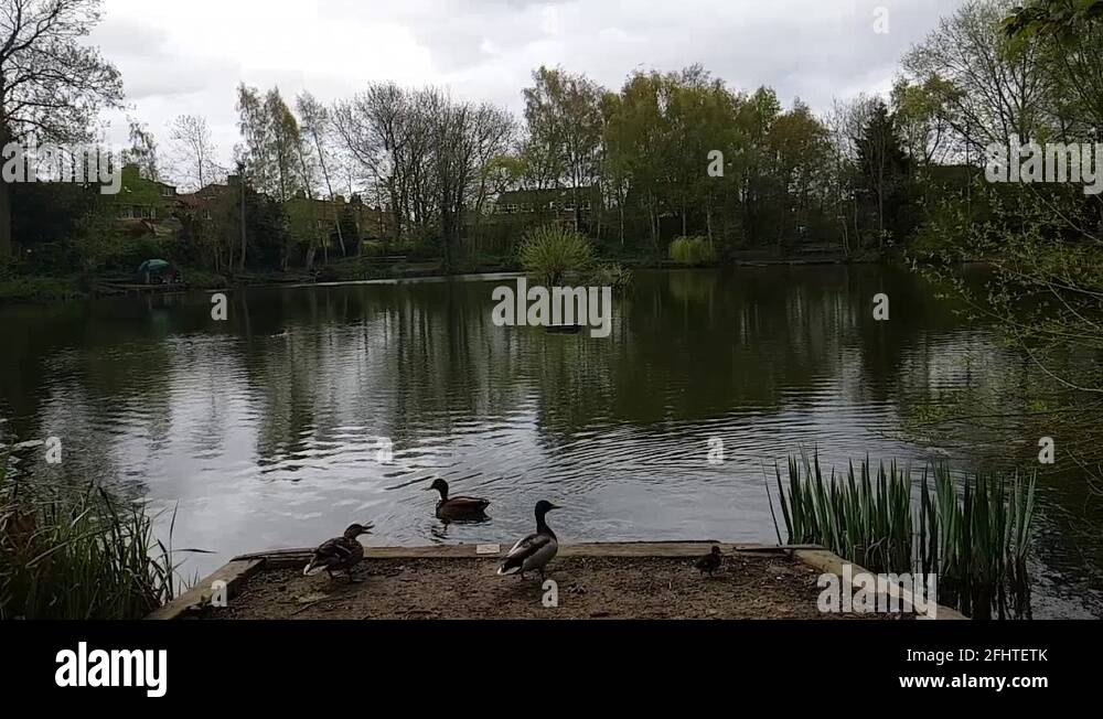 York nature reserve Stock Videos & Footage - HD and 4K Video Clips - Alamy