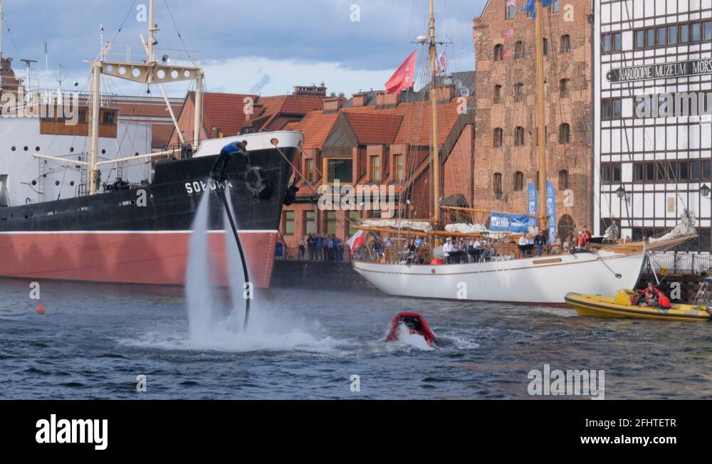 Man riding dolphin Stock Videos & Footage - HD and 4K Video Clips - Alamy
