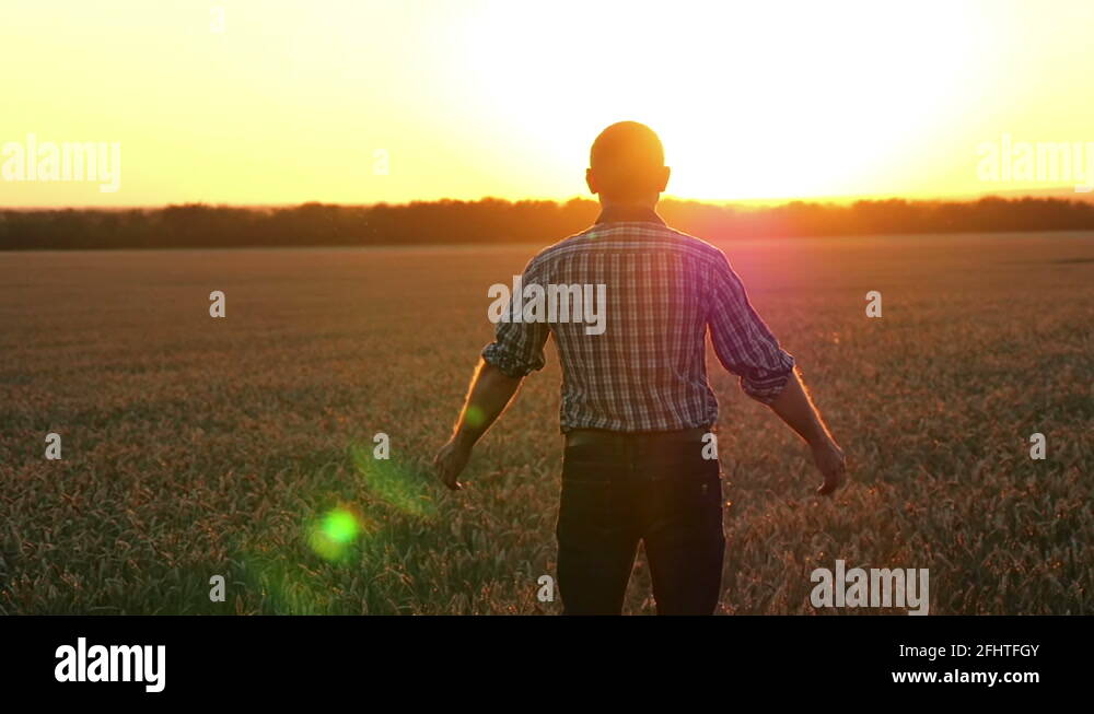 Corn field farmer waving Stock Videos & Footage - HD and 4K Video Clips ...